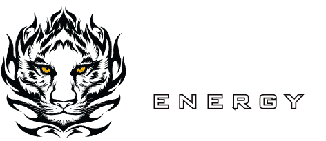 Fury Energy Drink